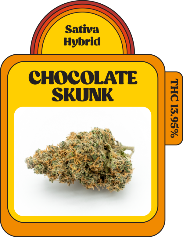 Chocolate Skunk - Kush House