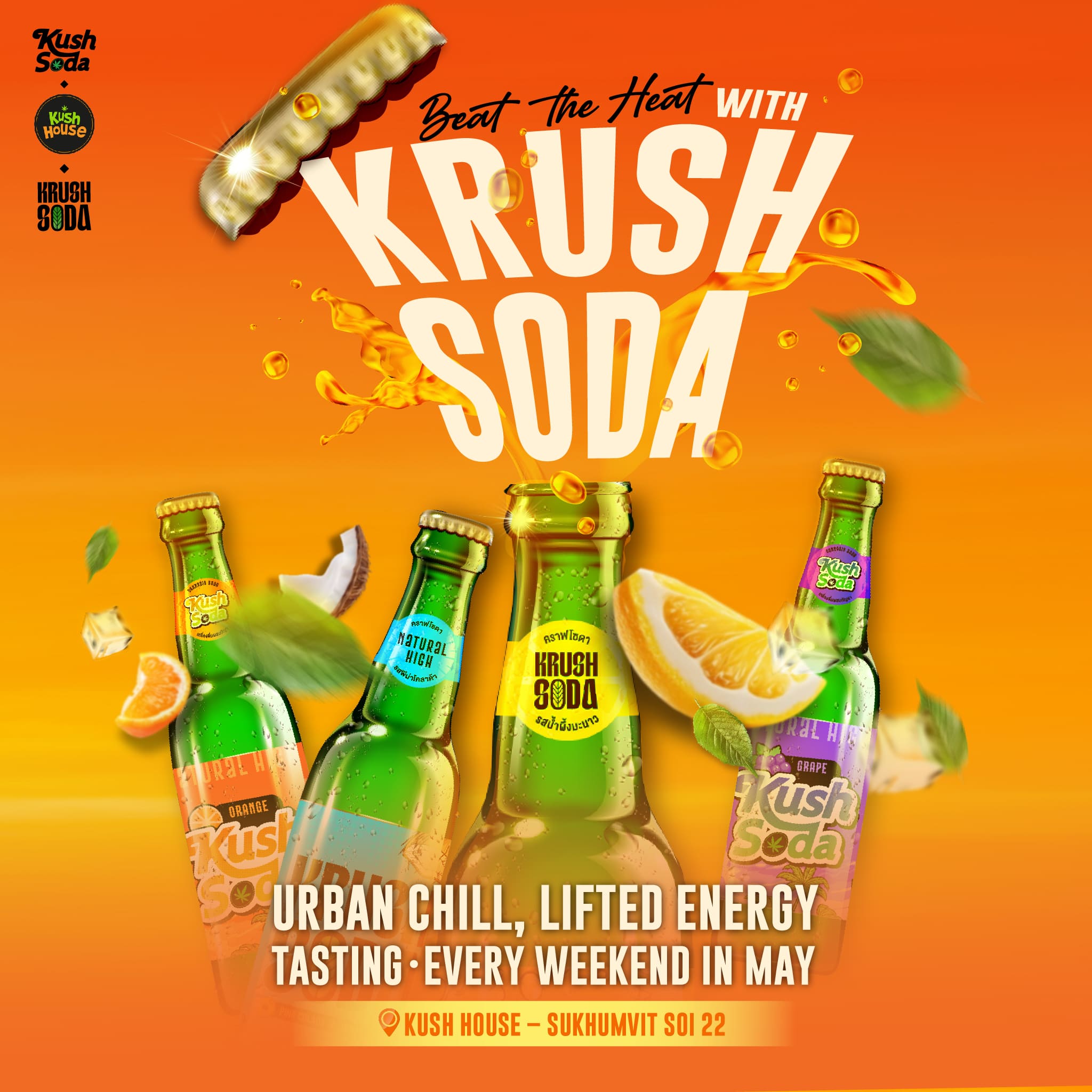 Kush House Bangkok Cannabis Store, Thailand Weed Dispensary